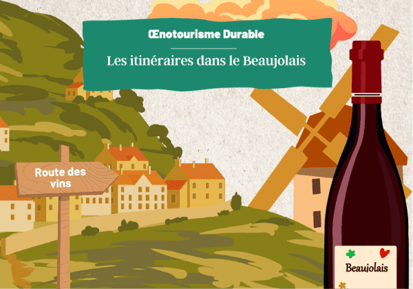 Terra Vitis : certification vin responsable et durable