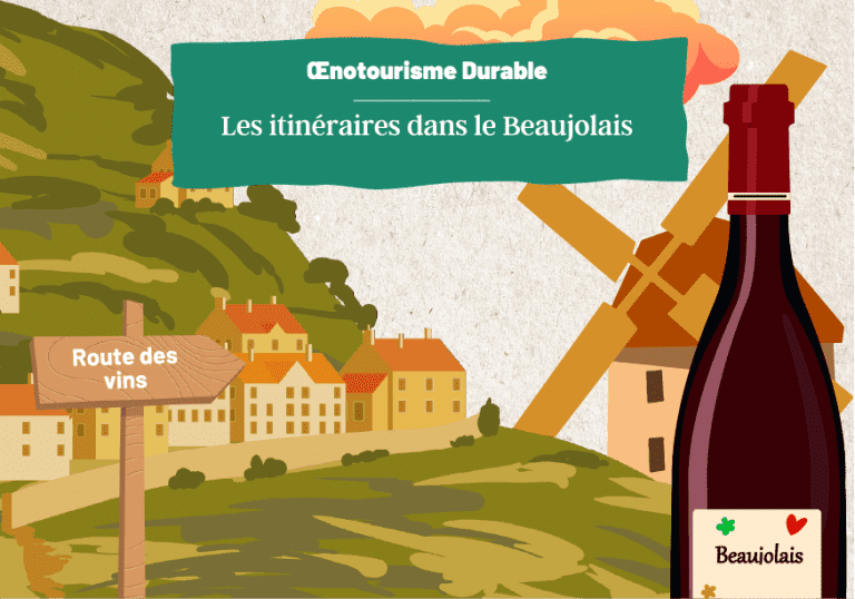 Terra Vitis : certification vin responsable et durable