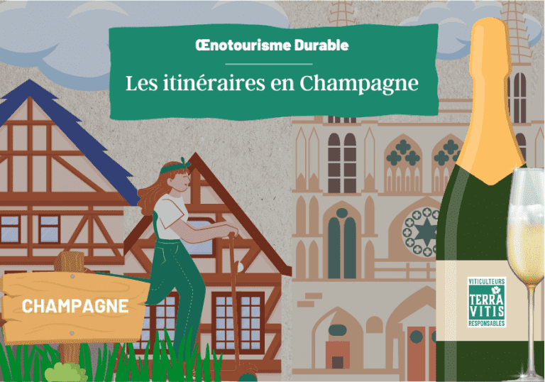 Terra Vitis : certification vin responsable et durable