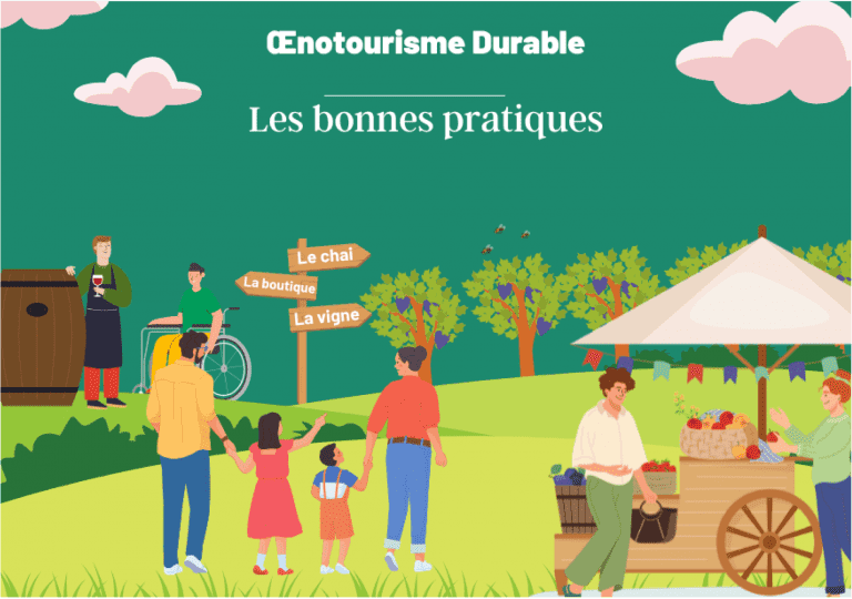 Terra Vitis : certification vin responsable et durable